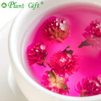 Aromatic dried tea for relaxation