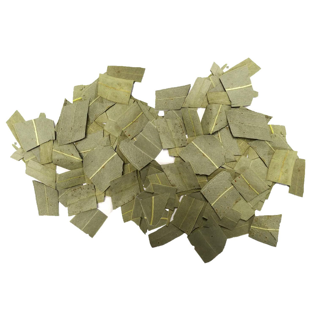 aromatic eucalyptus leaves for wellness