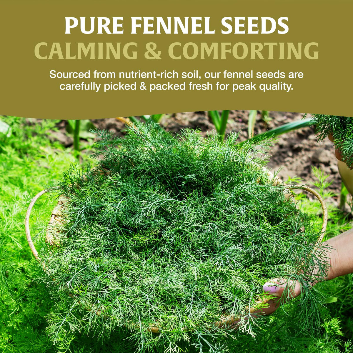 aromatic fennel tea for relaxation