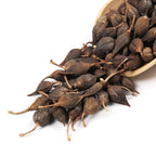 aromatic forsythia tea for brewing