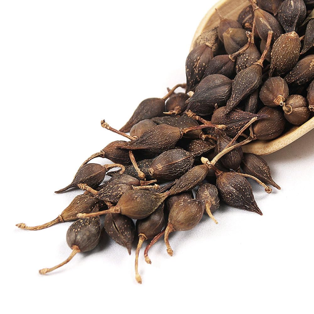 aromatic forsythia tea for brewing