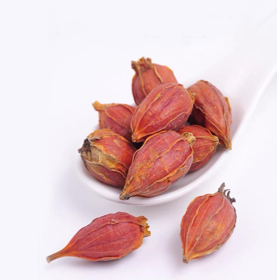aromatic gardenia fruit herbal infusion