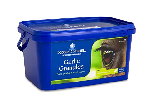 aromatic garlic for gourmet recipes