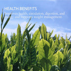 aromatic genmaicha for calming moments