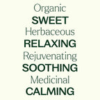 aromatic German chamomile essential oil