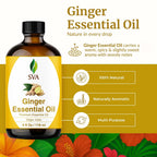 aromatic ginger essential oil benefits