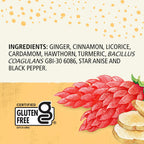 aromatic ginger probiotics tea infusion