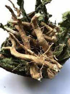 aromatic ginger tea experience