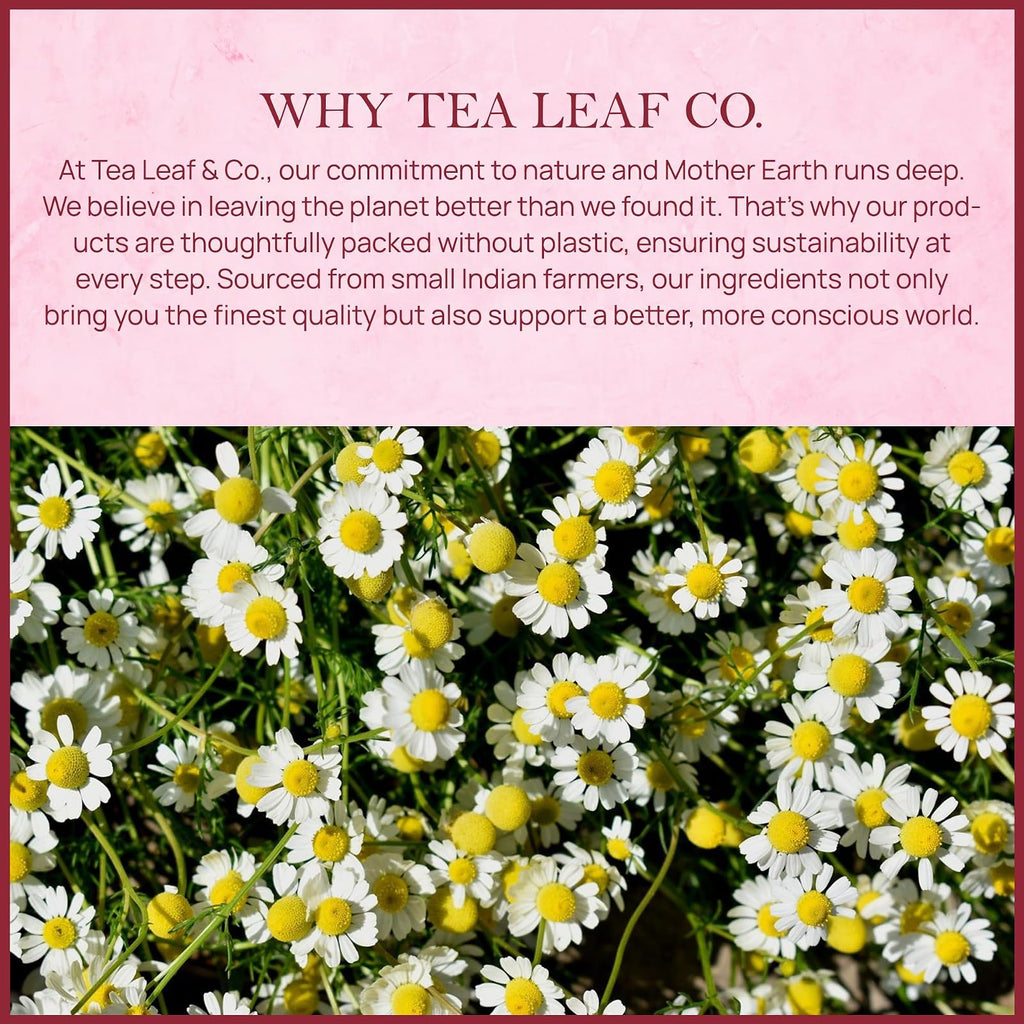 aromatic ginger tea with chamomile