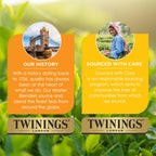aromatic ginger tea with wild berries