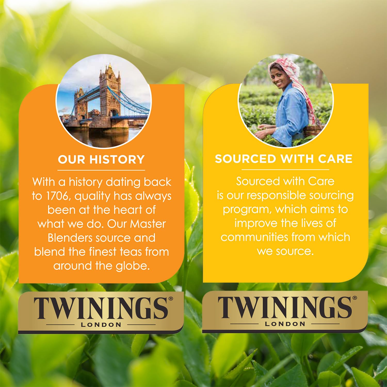 aromatic ginger tea with wild berries