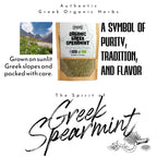 aromatic Greek spearmint for wellness