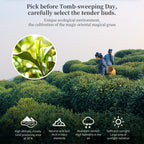 aromatic green tea for brewing