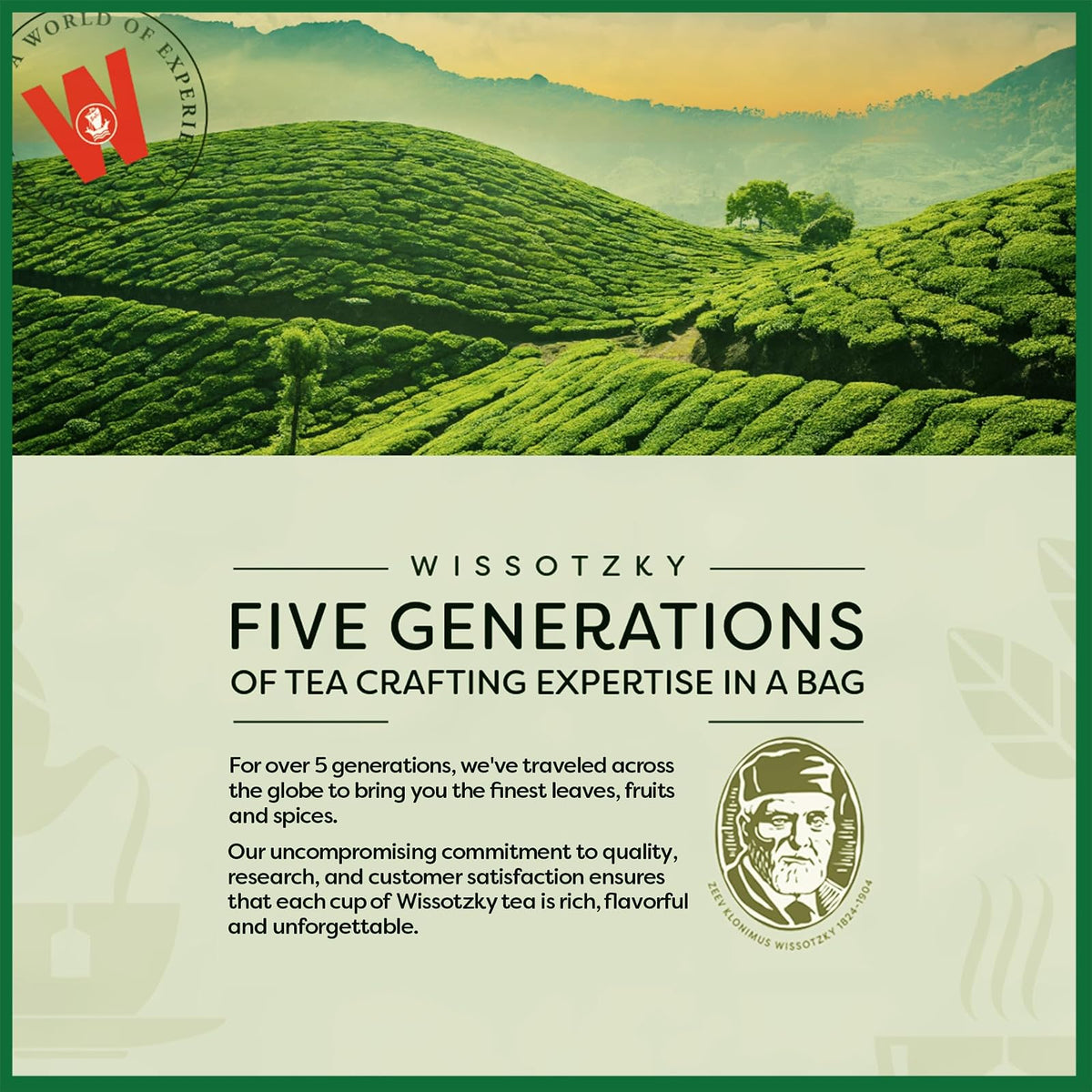 aromatic green tea for daily use
