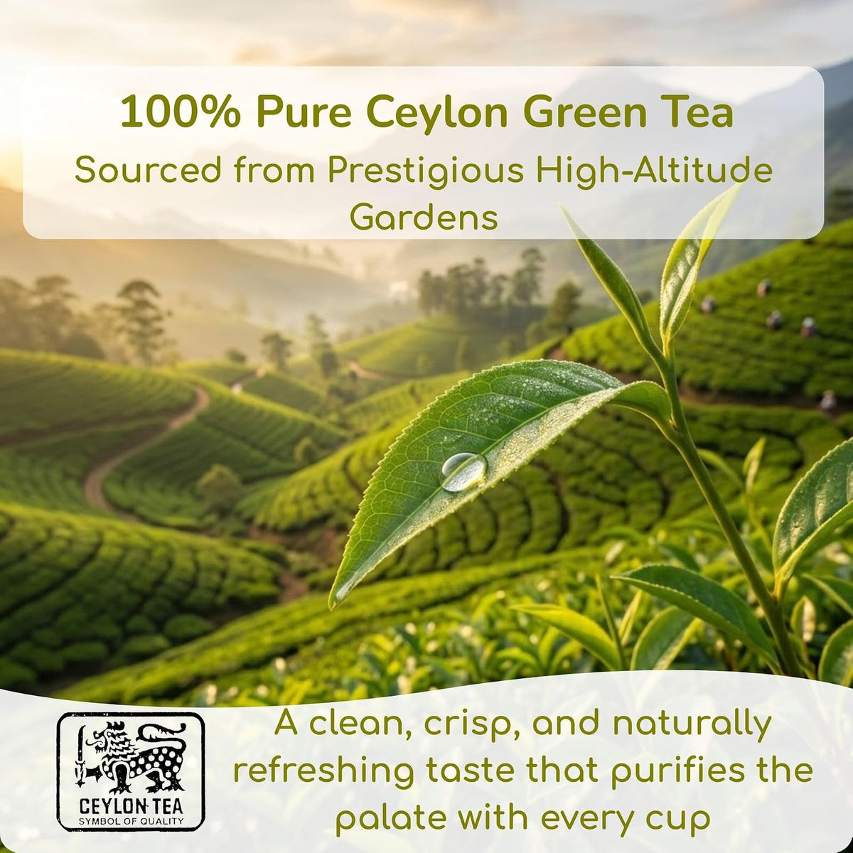 aromatic green tea for relaxation