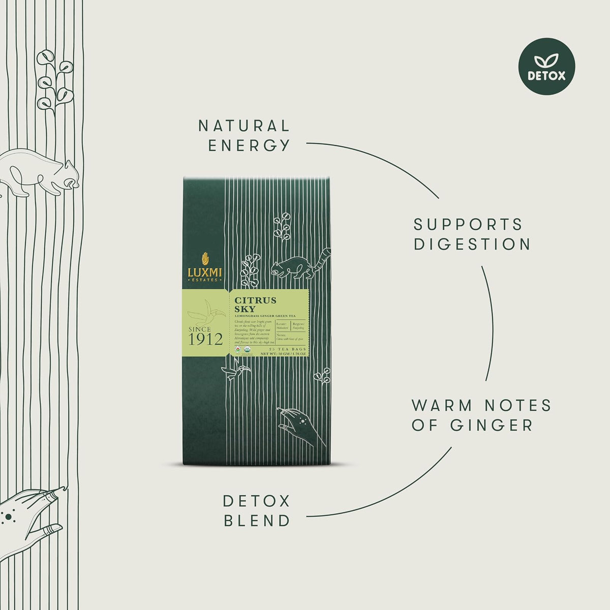 aromatic green tea for relaxation