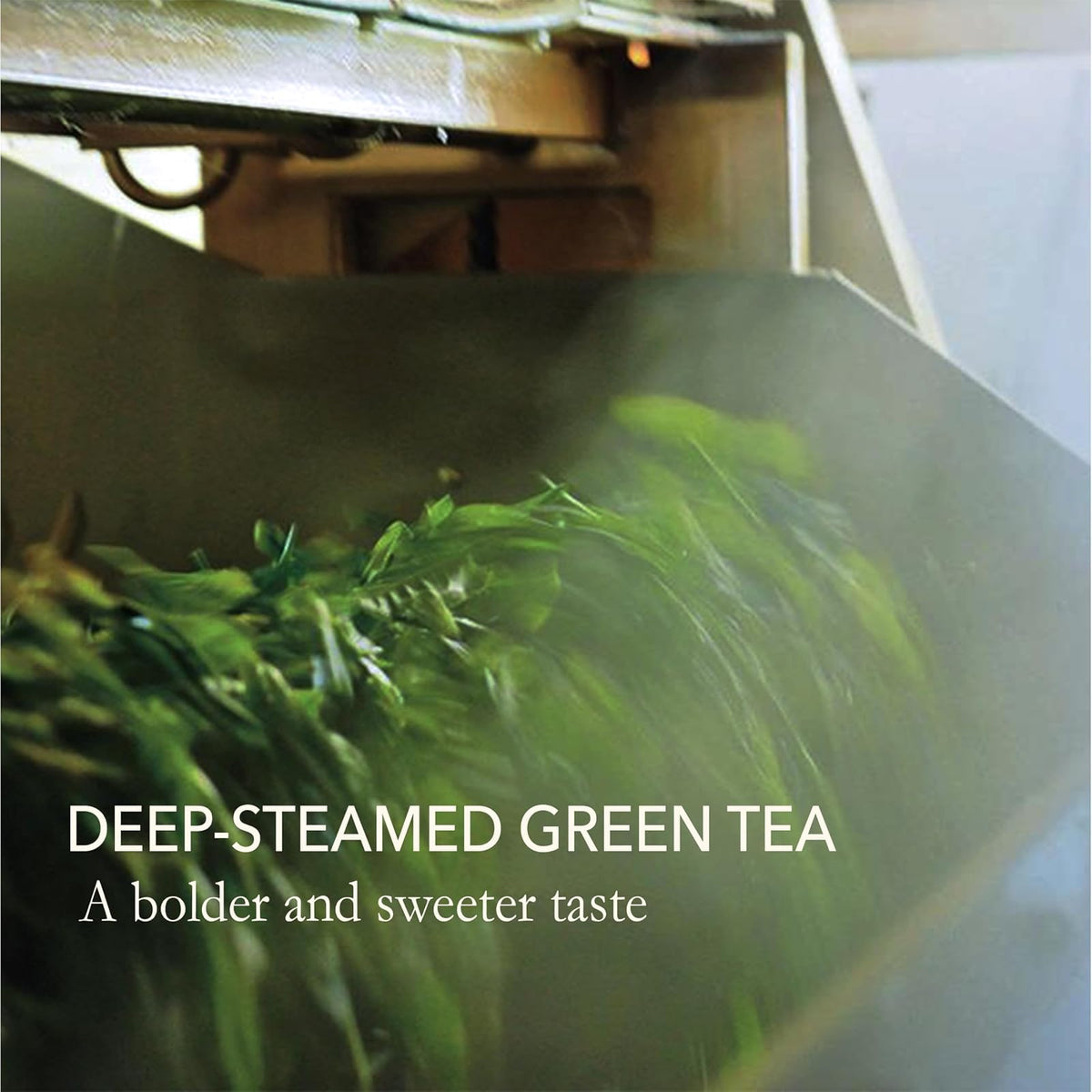 aromatic green tea infusion