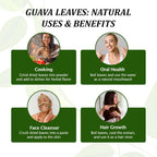 aromatic guava leaf infusion for wellness