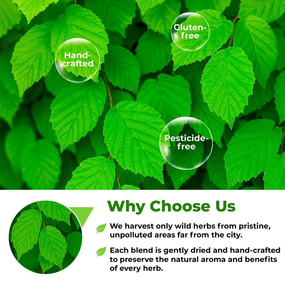 aromatic hazel leaf herbal drink