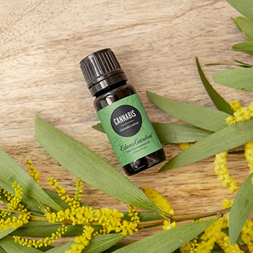 aromatic herbal blends for relaxation