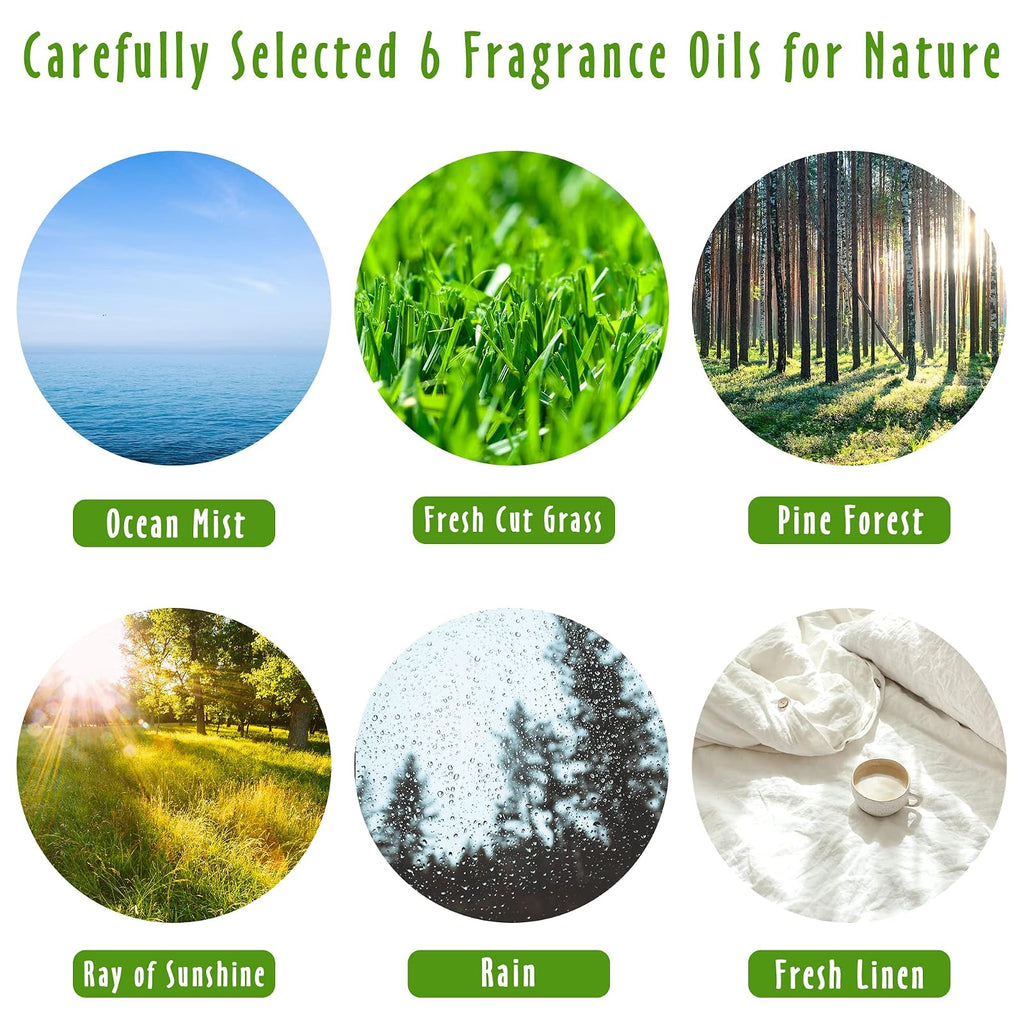 aromatic herbal blends for wellness