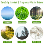 aromatic herbal blends for wellness