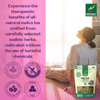 aromatic herbal detox tea experience