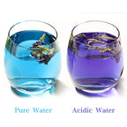 aromatic herbal detox tea
