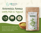 aromatic herbal infusion for wellness