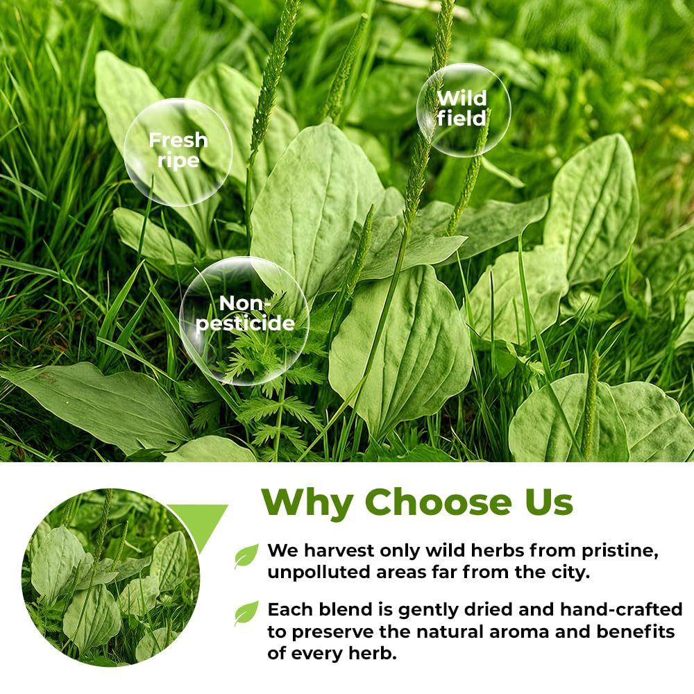 aromatic herbal tea blend