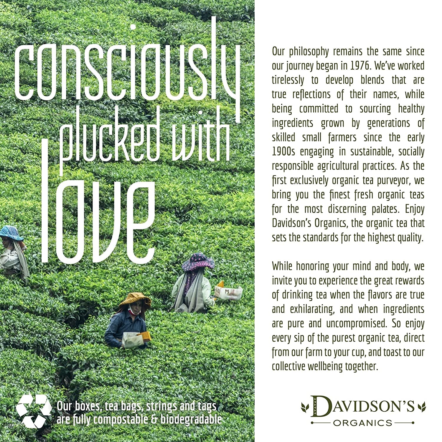aromatic herbal tea experience
