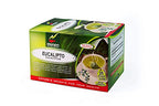 aromatic herbal tea for wellness