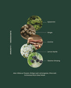 aromatic immunity herbal tea blend