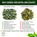 aromatic kaffir lime leaves for cooking