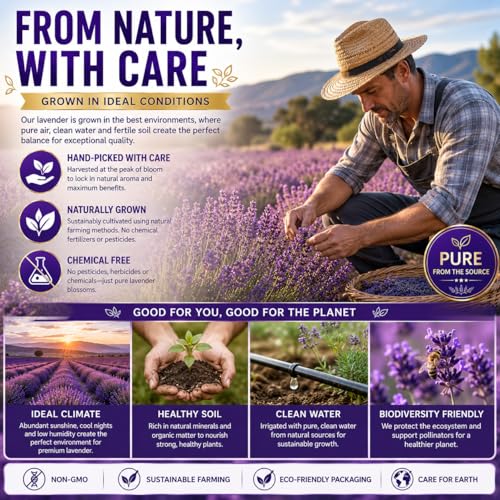 aromatic lavender flower tea blend