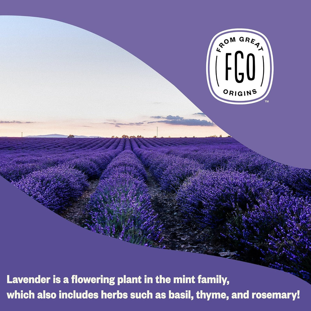aromatic lavender for calming tea