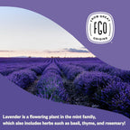 aromatic lavender for calming tea