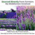 aromatic lavender for herbal infusions