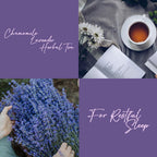 aromatic lavender herbal infusion
