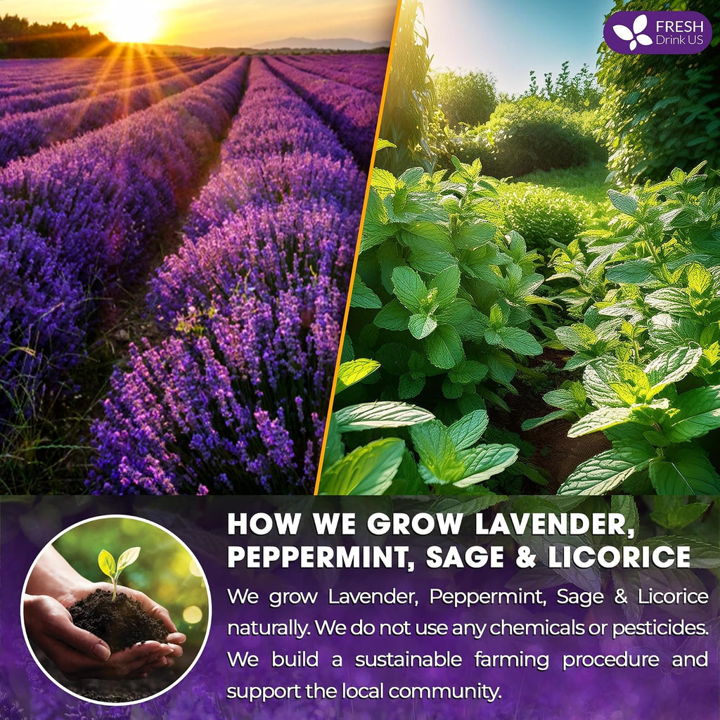 aromatic lavender mint tea infusion
