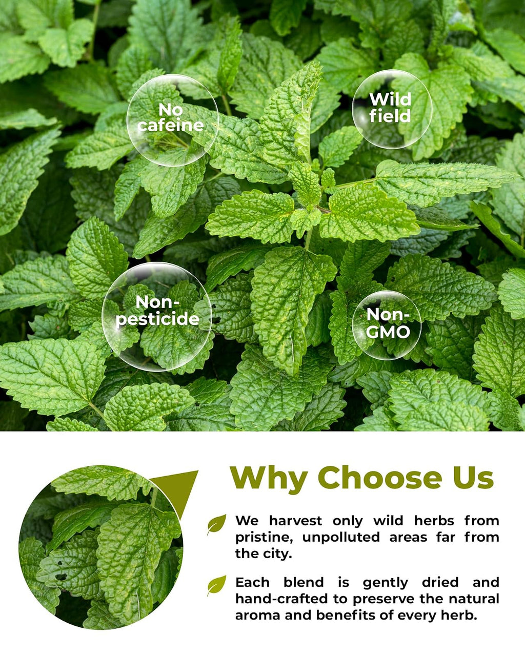 aromatic lemon balm tea for sleep