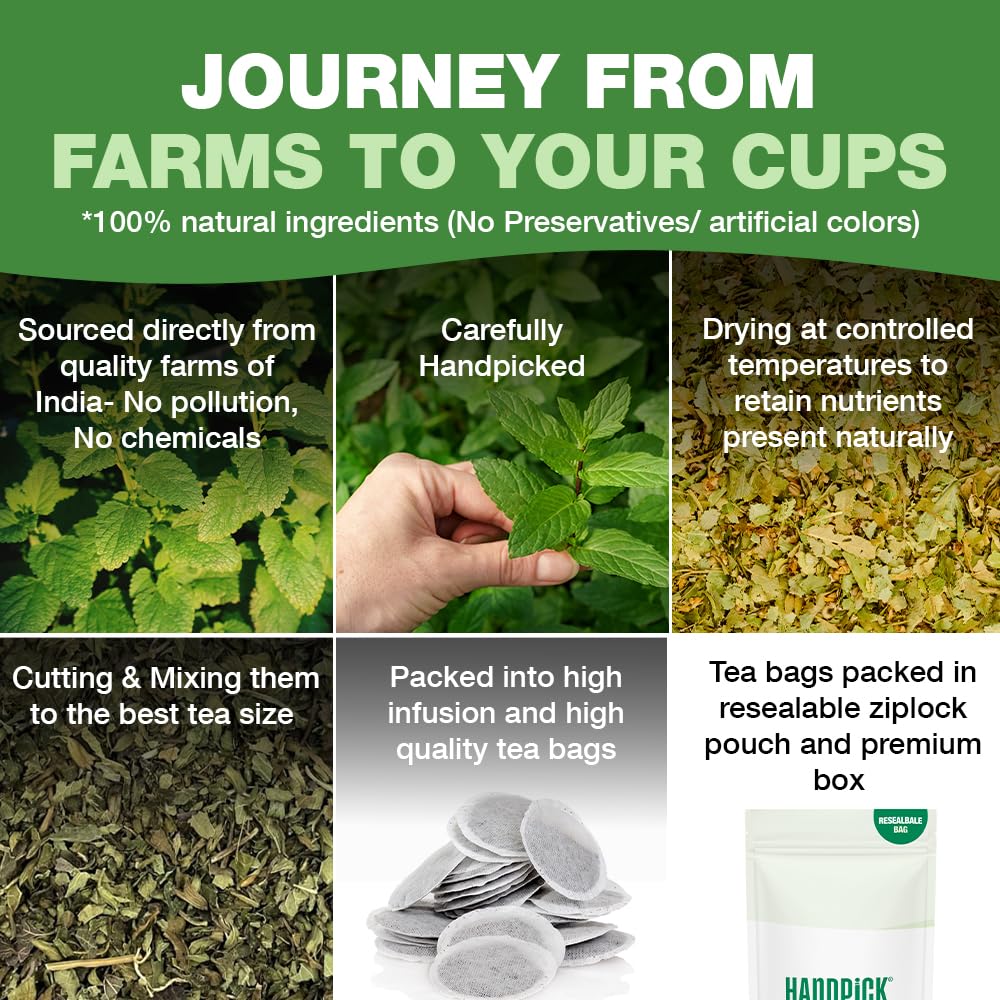 aromatic lemon balm tea for wellness