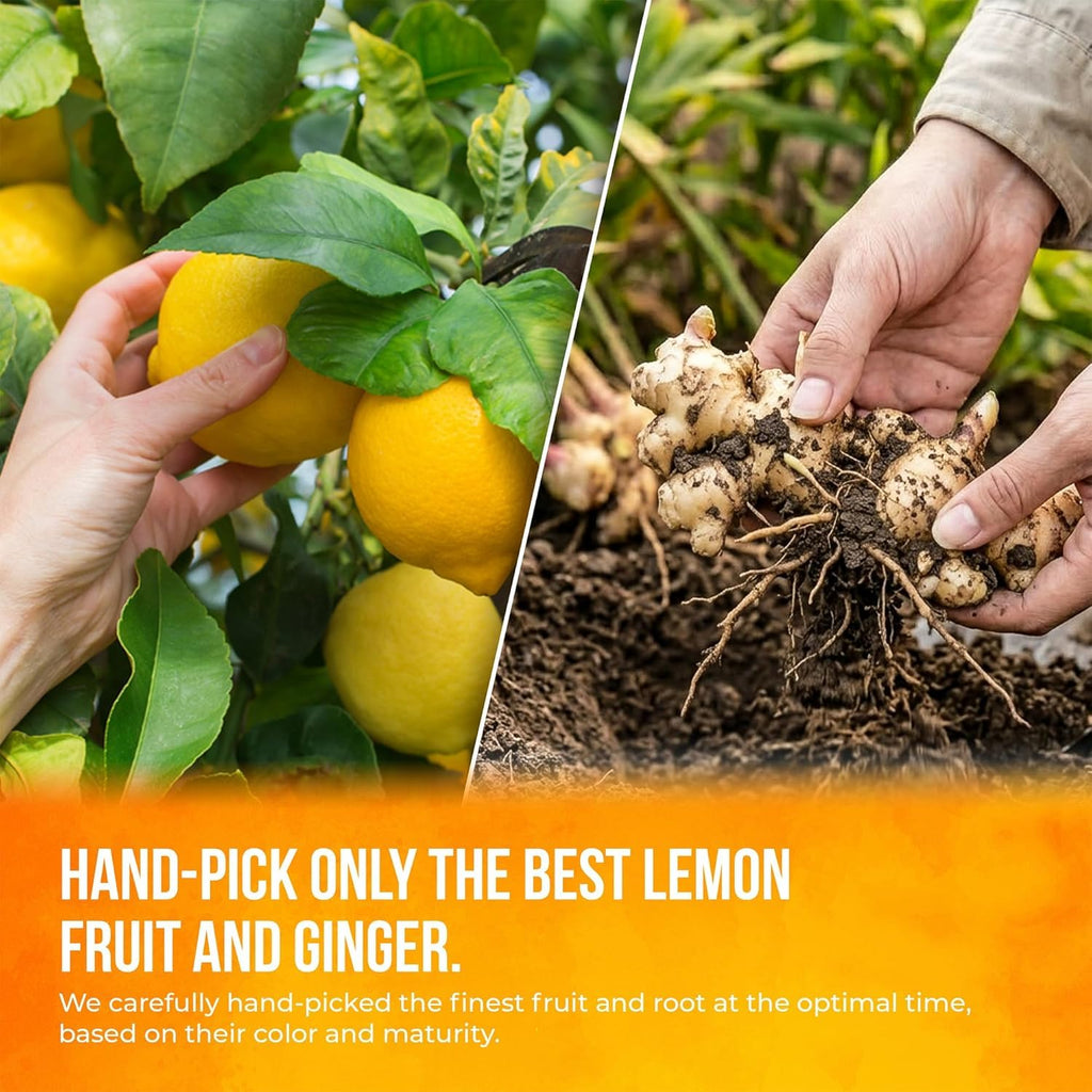 aromatic lemon ginger tea for relaxation