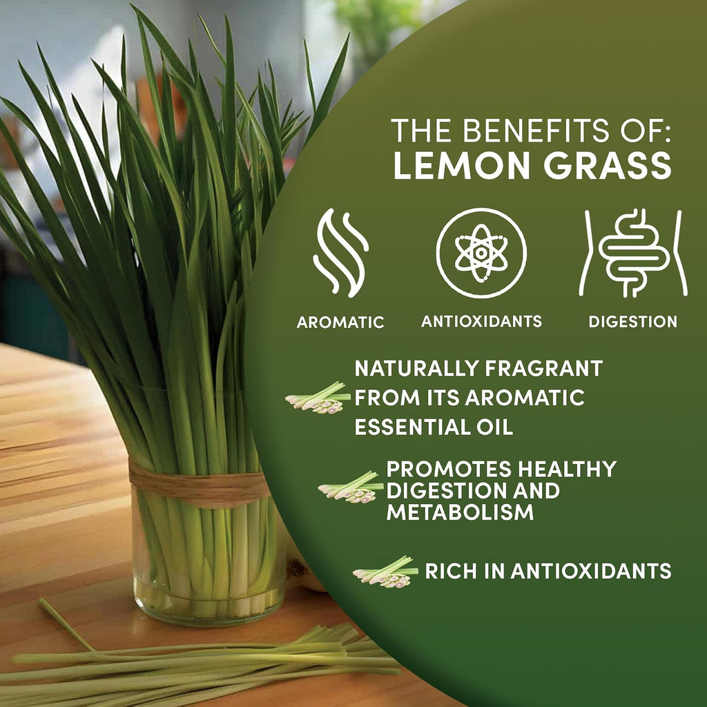 aromatic lemon grass tea infusion