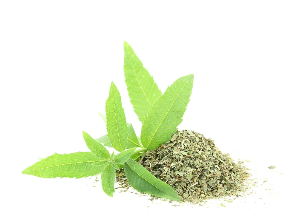 aromatic lemon verbena leaves