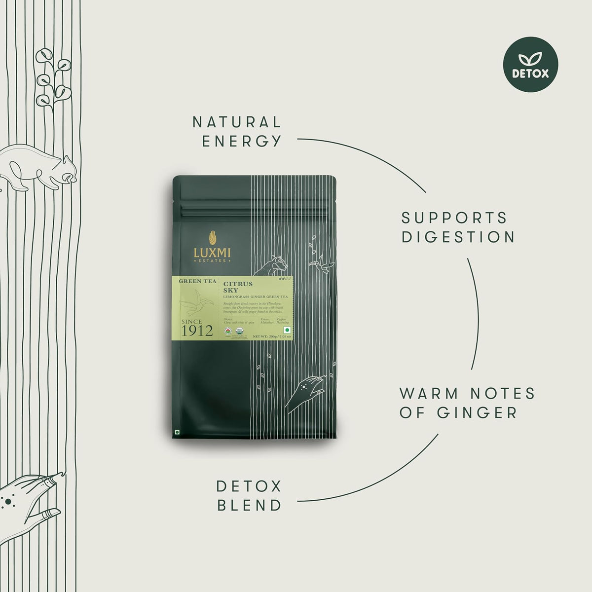 aromatic lemongrass ginger infusion
