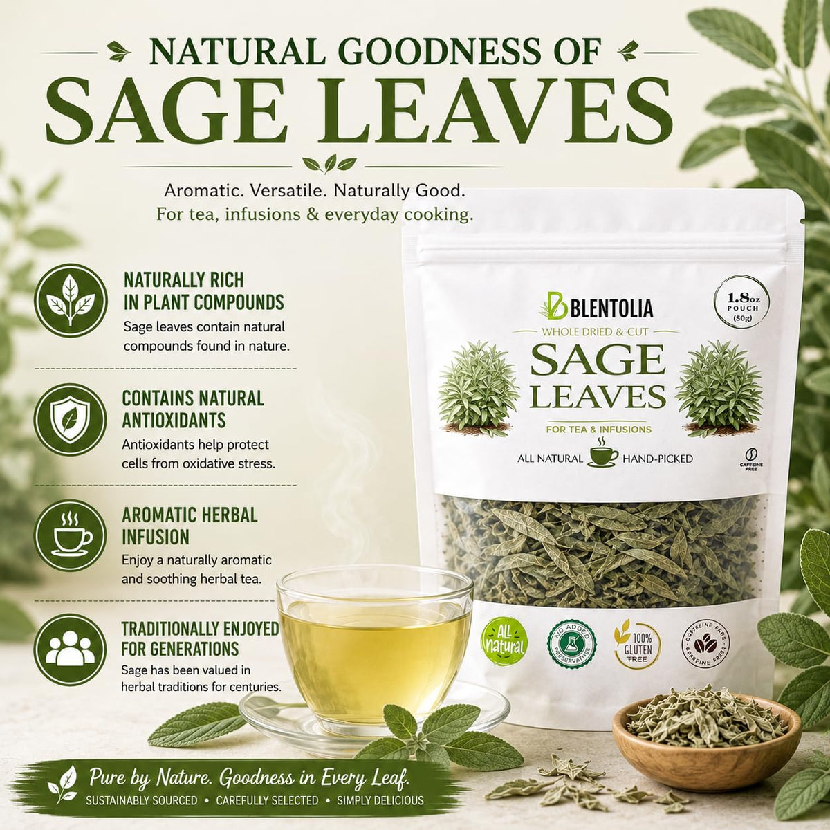 aromatic loose sage tea infusion