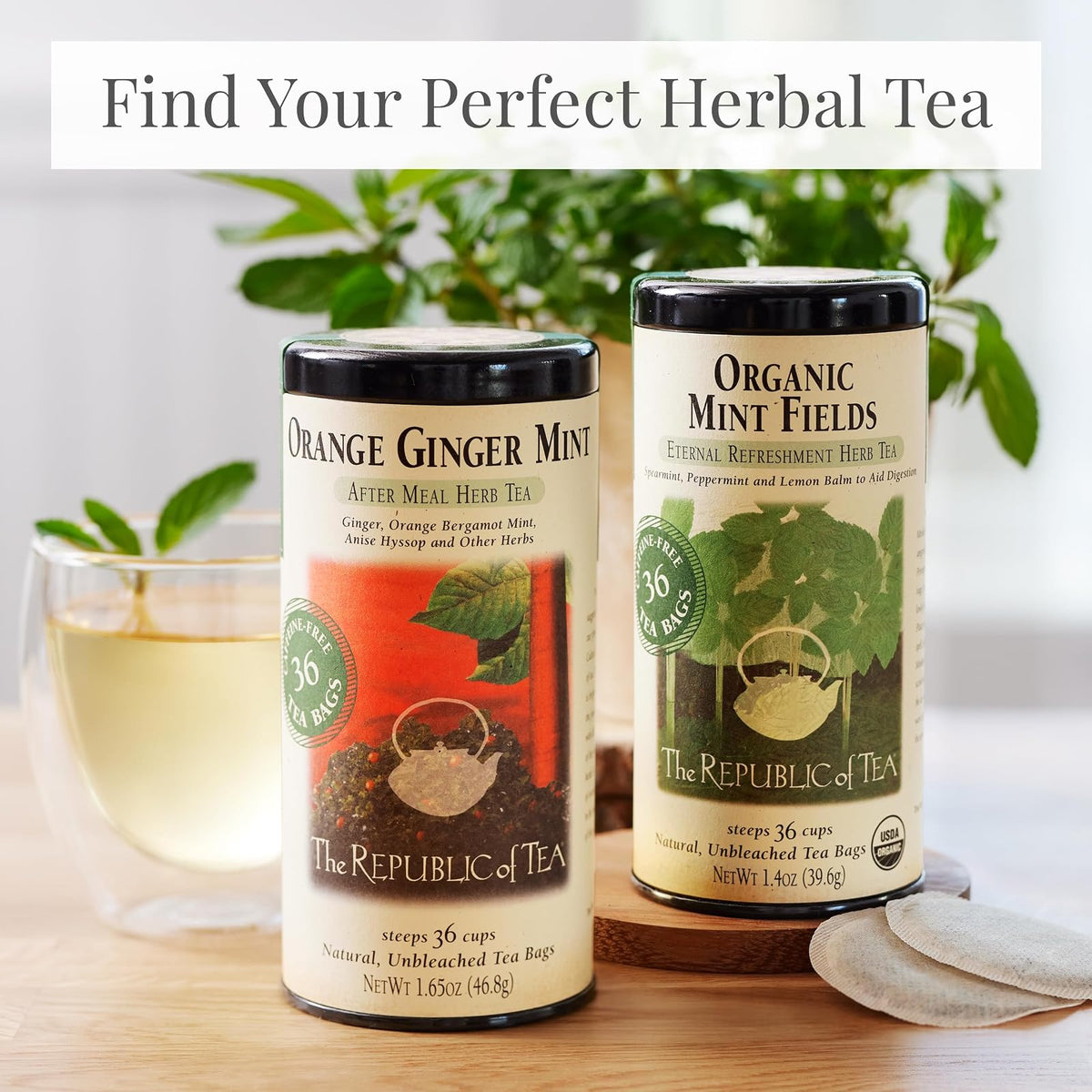 aromatic mint fields tea for wellness