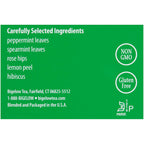 aromatic mint medley tea experience