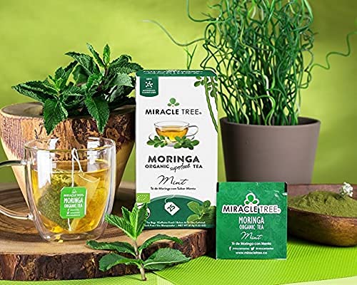 aromatic mint moringa tea experience